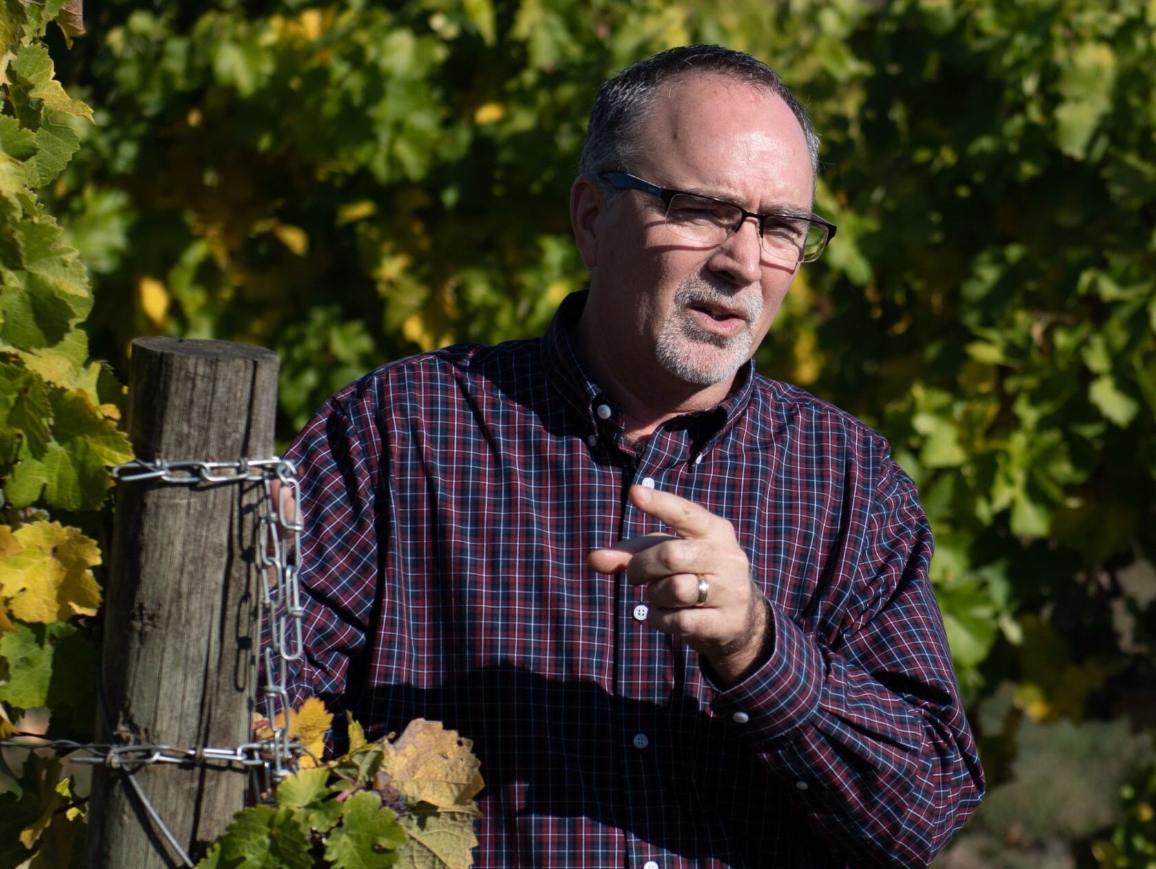 Greg Jones, Board Chair - Oregon Wine Industry