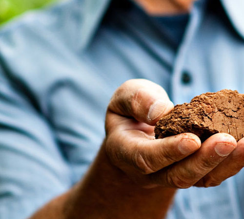 The Dirt on Oregon Soil - Oregon Wine Industry